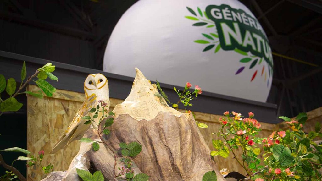 Eric_Serre_IMG_1116 - Les Fées Spéciales